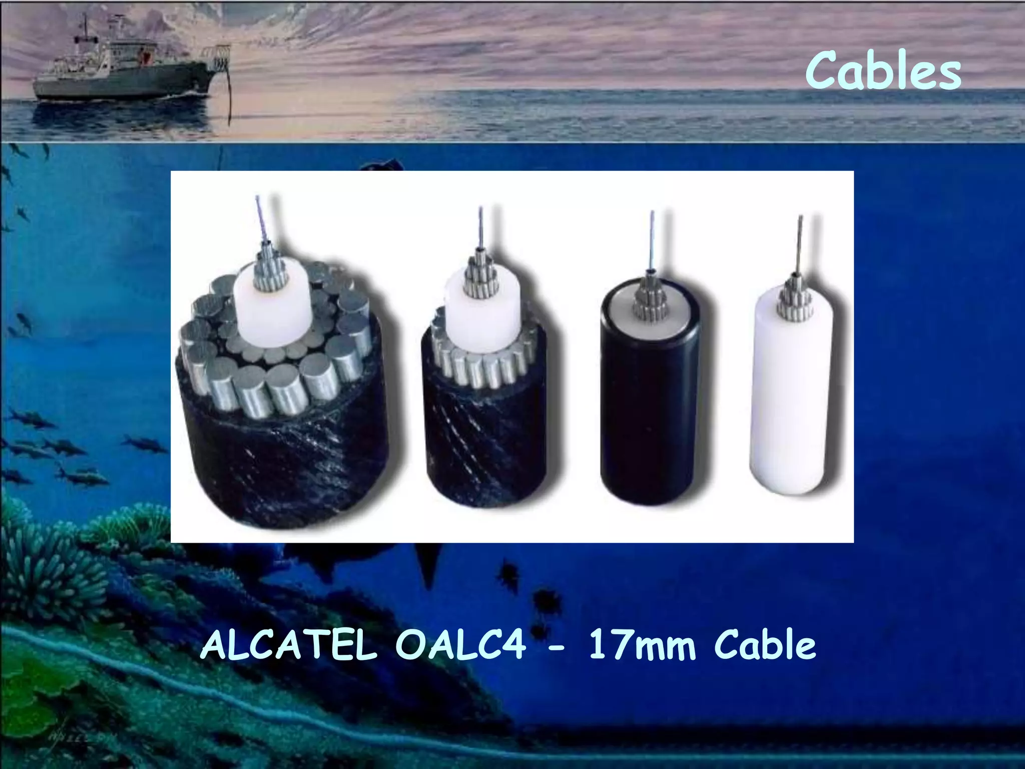 Pacific cable | PPT