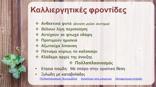 Αναρριχώμενα καλλωπιστικά φυτά | PPT