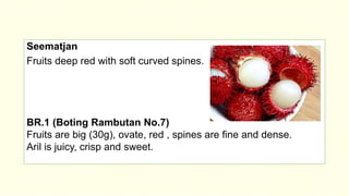 Package and practices of rambutan [autosaved] | PPTX