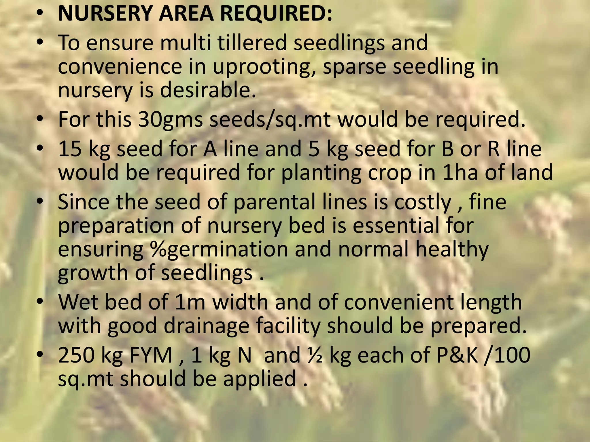 Package of practices_followed_in_hybrid_paddy_production | PPTX