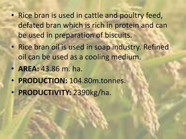 Package of practices_followed_in_hybrid_paddy_production | PPTX