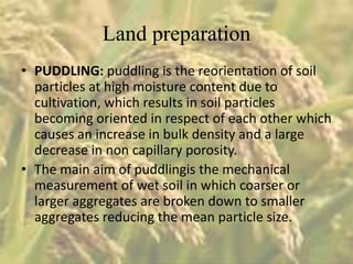 Package of practices_followed_in_hybrid_paddy_production | PPTX