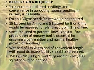 Package of practices_followed_in_hybrid_paddy_production | PPTX