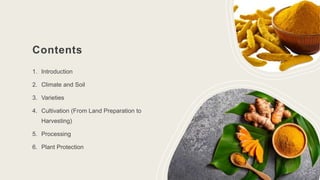 Package of Practices for Turmeric.pptx