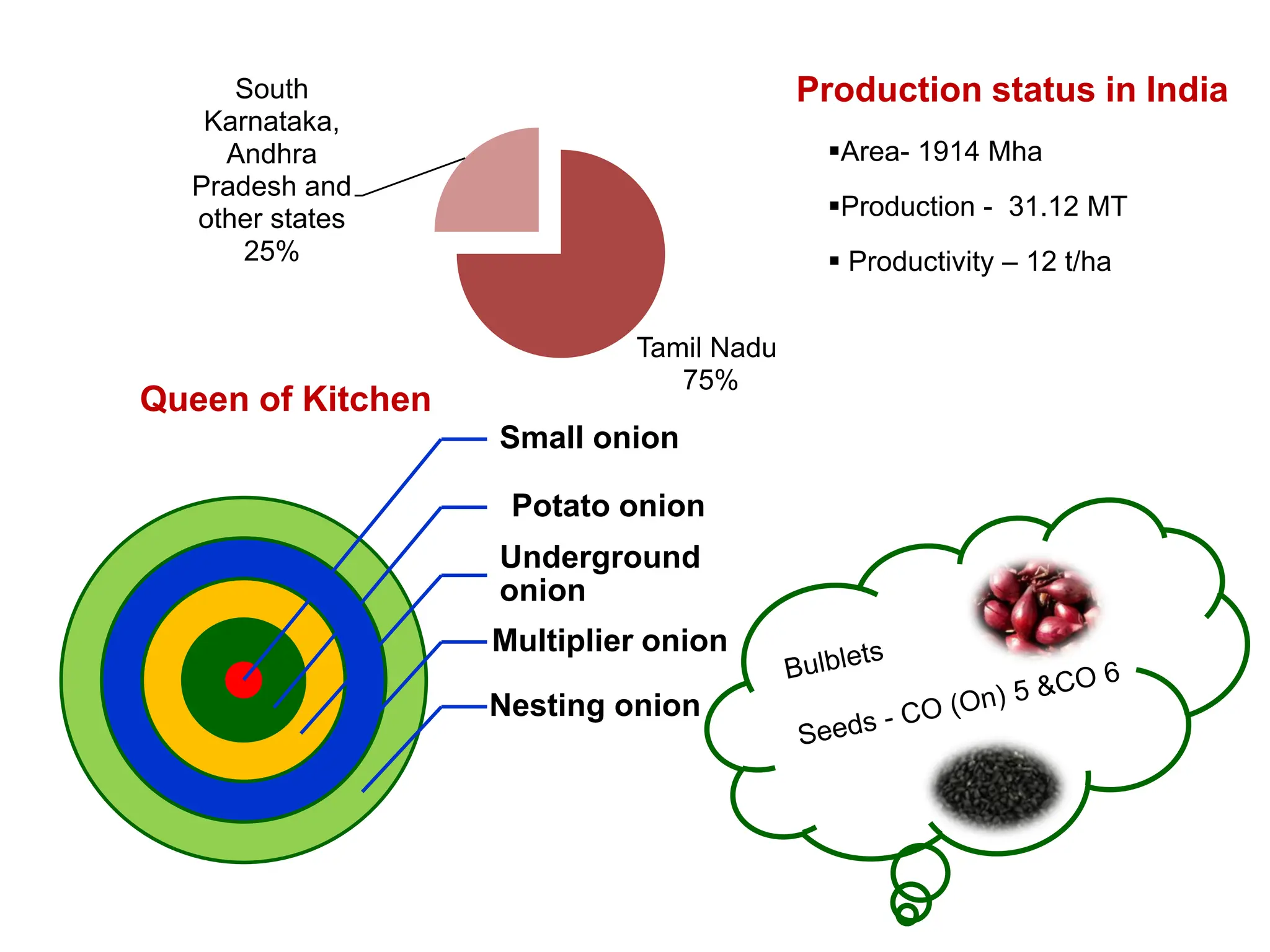 Package of Practices in Onion Farming.pdf
