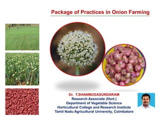 Package of Practices in Onion Farming.pdf