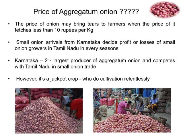 Package of Practices in Onion Farming.pdf