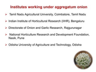 Package of Practices in Onion Farming.pdf