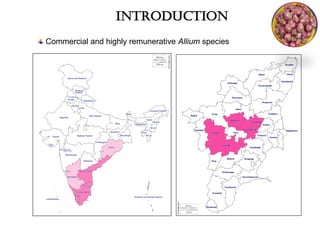 Package of Practices in Onion Farming.pdf