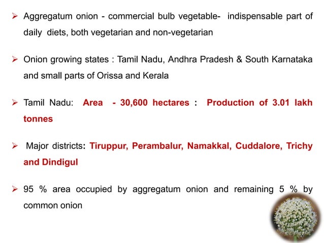 Package of Practices in Onion Farming.pdf | Free Download