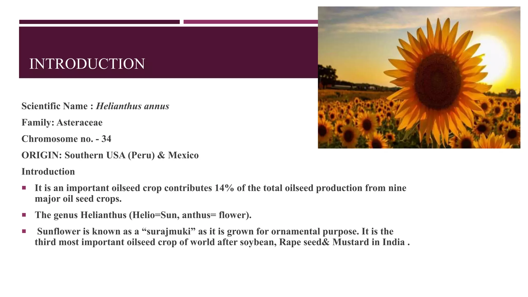 Package of Practices of Sunflower.pptx
