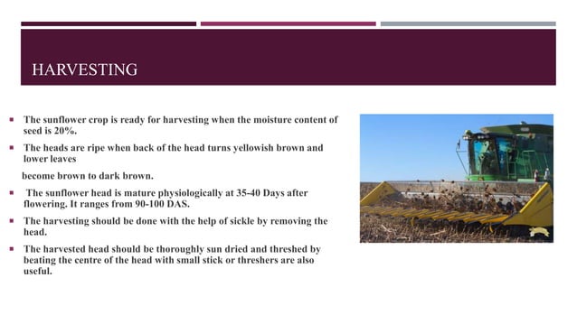 Package of Practices of Sunflower.pptx | Agriculture | Industries