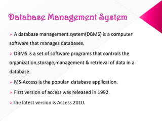Packages Computer Application in Business | PPT