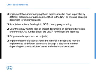 Packaging Adaptation Actions into Programmes, Projects and Policies | PDF