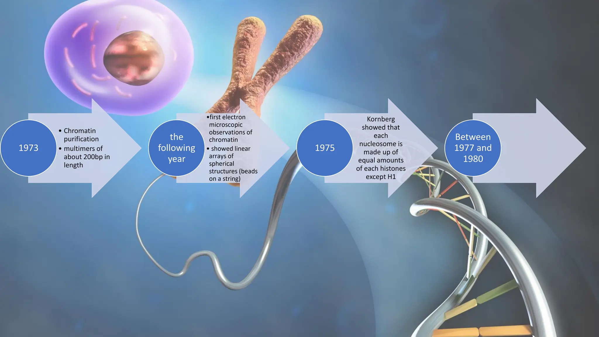 Packaging DNA into chromosome.pdf