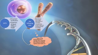 Packaging DNA into chromosome.pdf