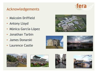 Packaging migration.pdf