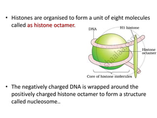 Packaging of DNA helix... | PPTX