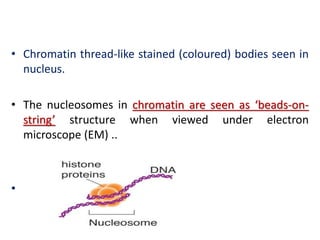 Packaging of DNA helix... | PPTX