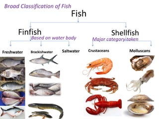 Packaging of fish and fishery products | PPTX