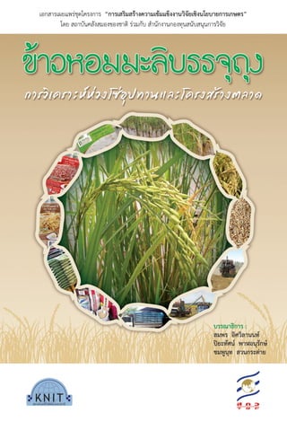 Packed Jasmine KDML rice | PDF