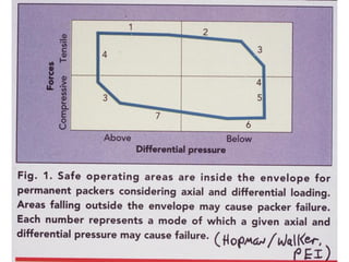 Packer failure | PDF
