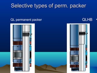 Oil And Gas Packers