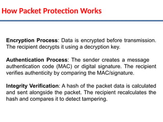 Packet protection system for the project | PPT