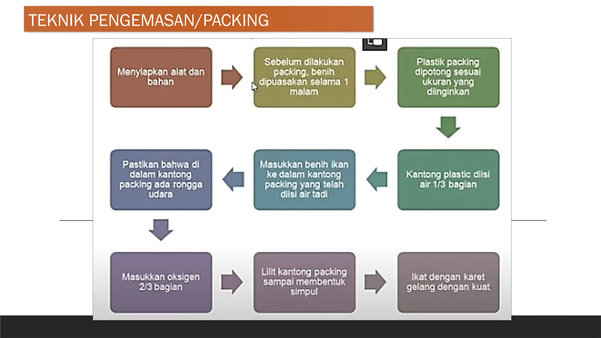 PACKING IKAN pada mata pelajaran agribisnis | PPTX
