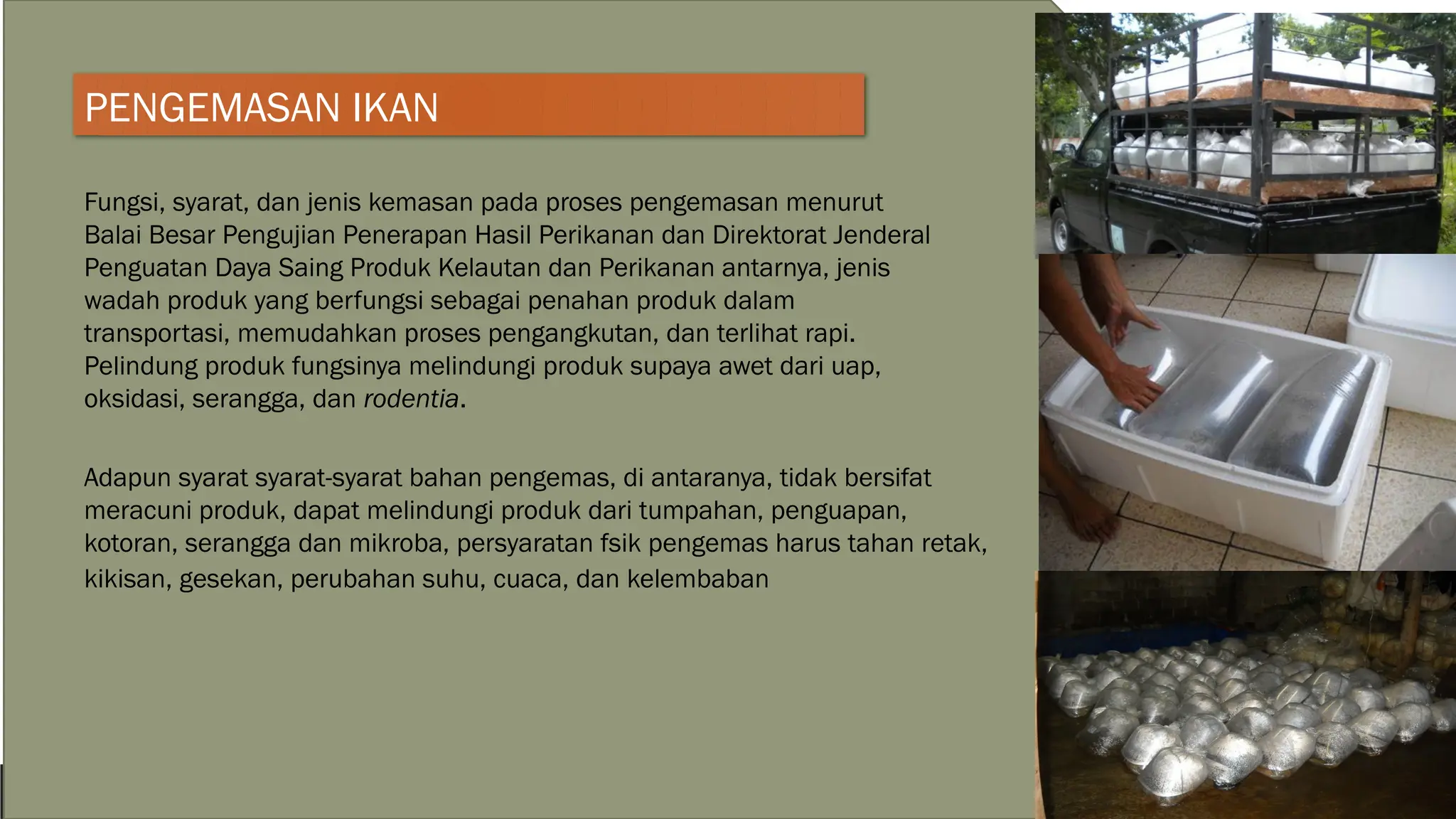 PACKING IKAN pada mata pelajaran agribisnis | PPTX