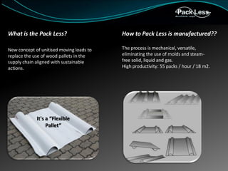 Packlesssintese ingles | PDF | Logistics | Business