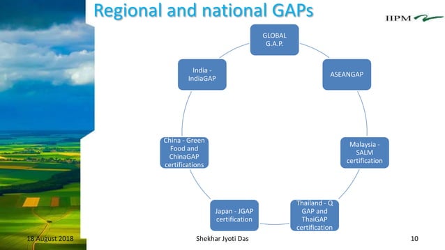 GAP & GMP for Mango Export | PPTX | Agriculture | Industries