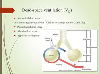 Pa co2 and alveolar dead space are more relevant | PPTX