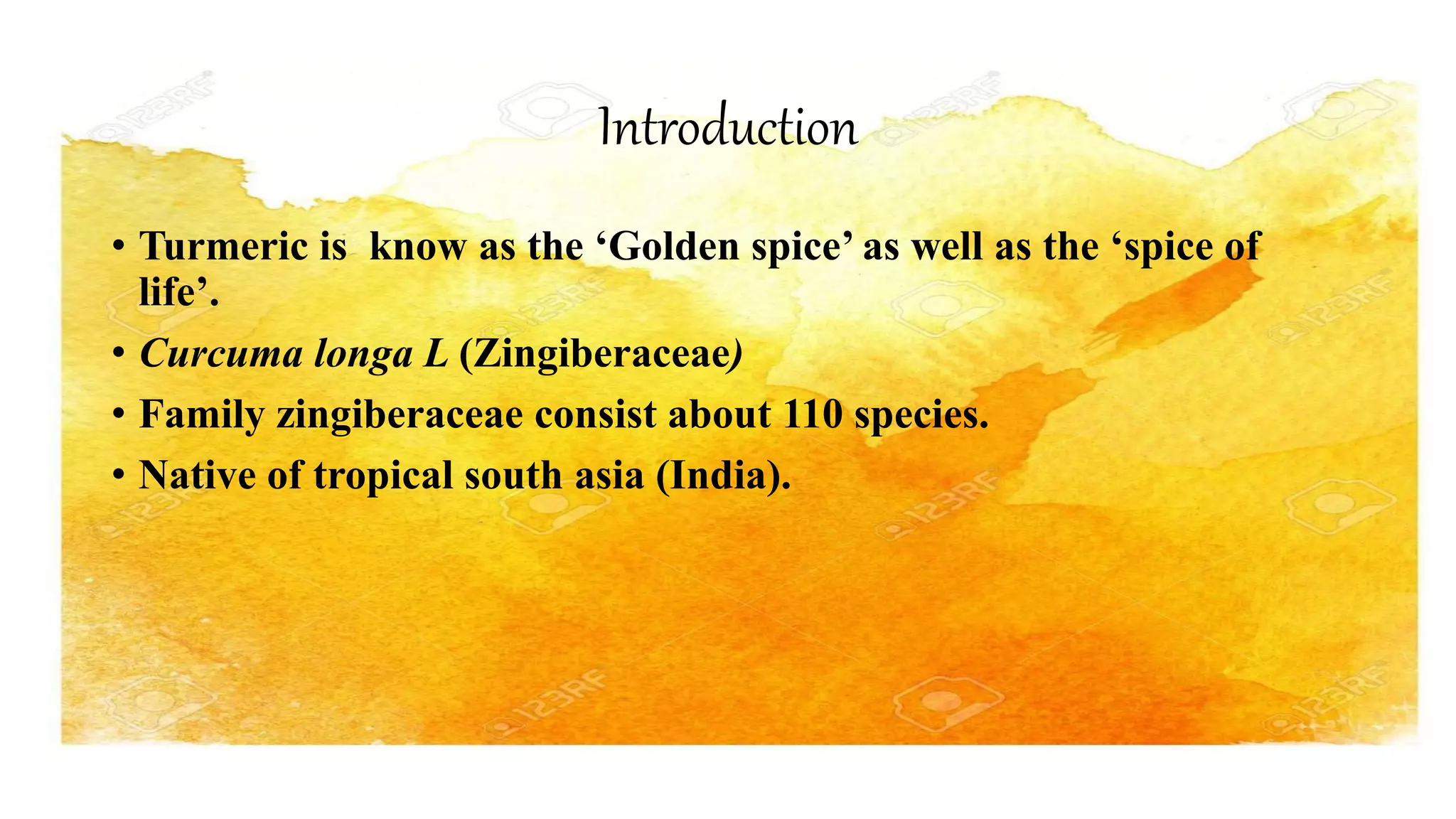 Turmeric Powder Processing | PPTX