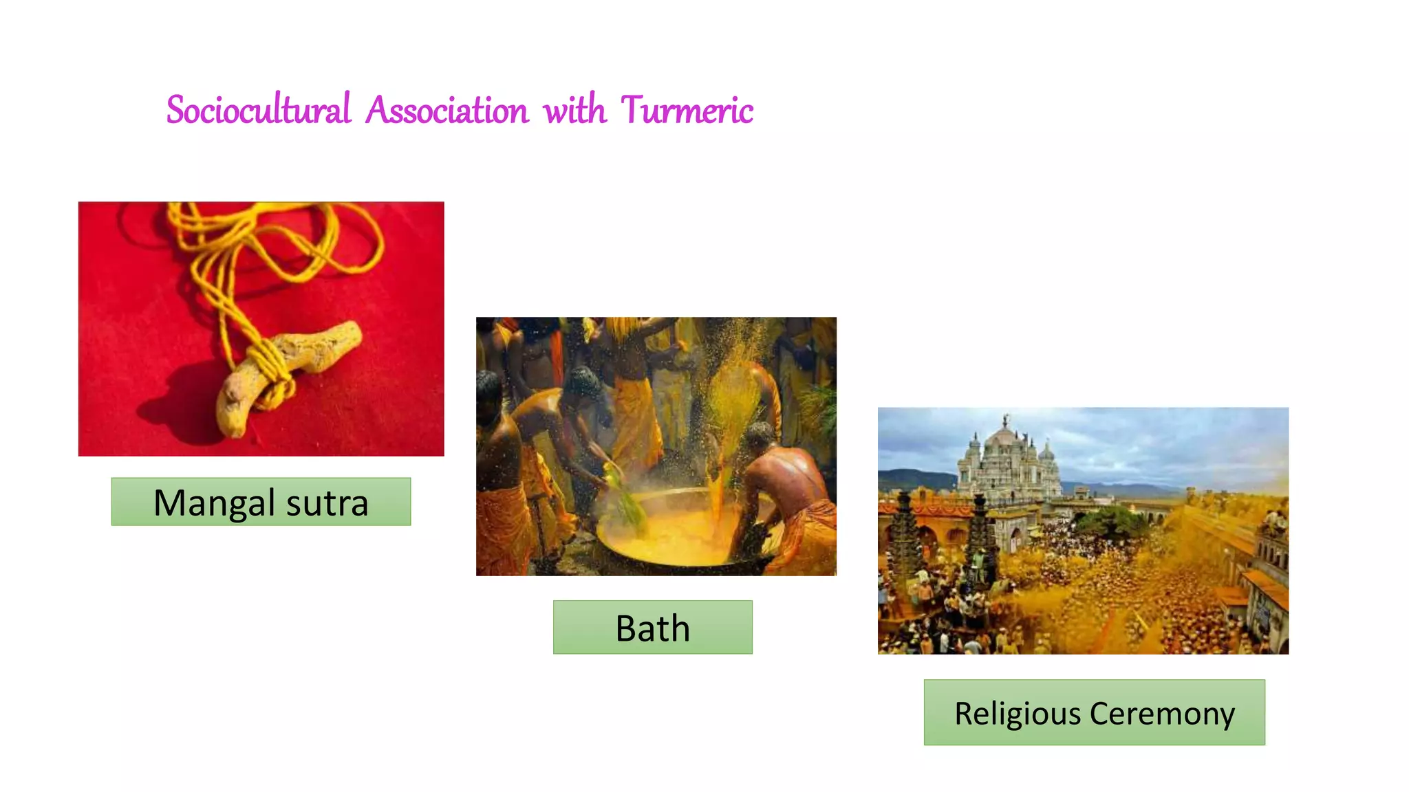 Turmeric Powder Processing | PPTX