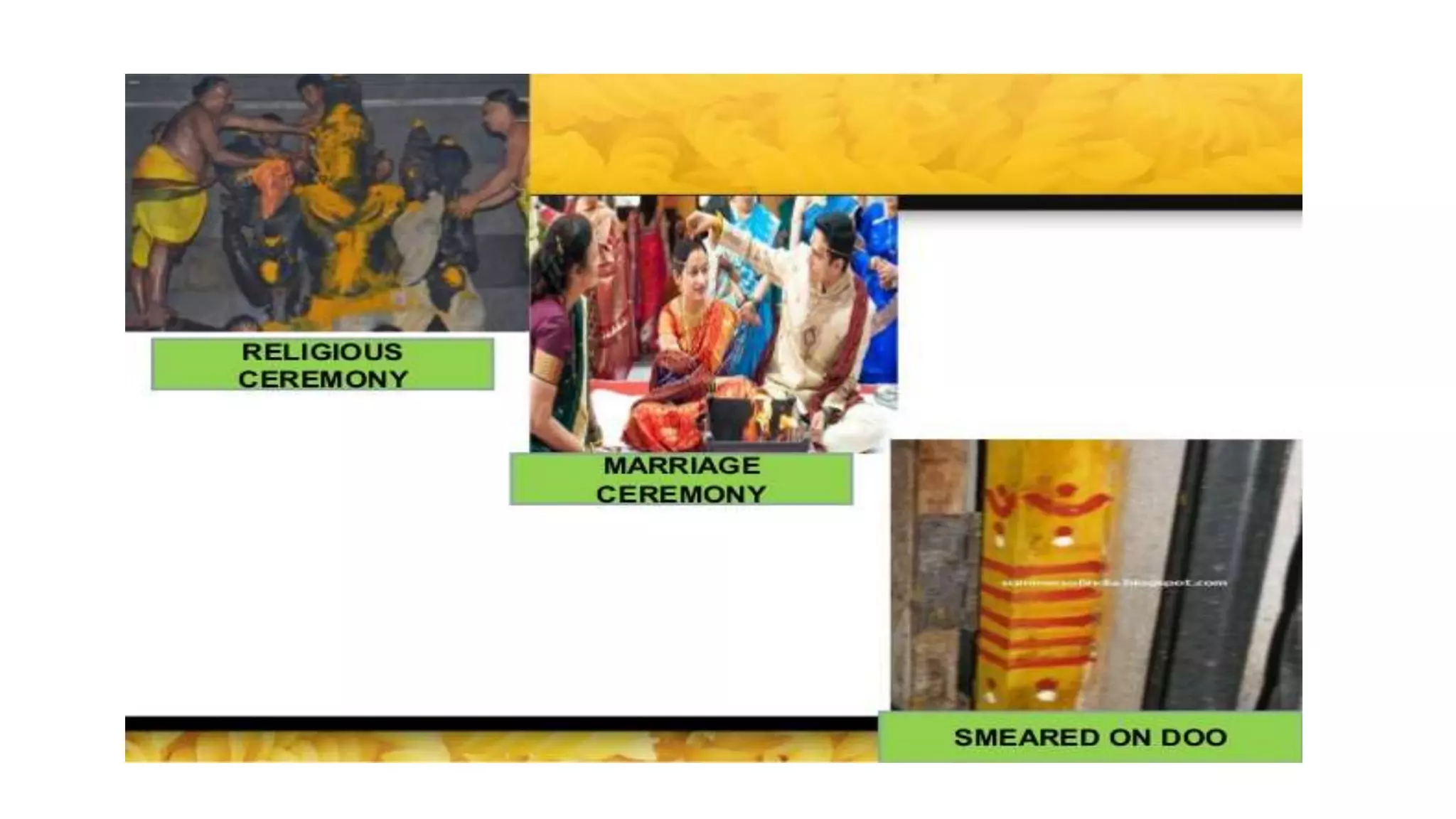 Turmeric Powder Processing | PPTX