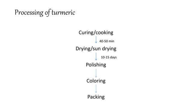 Turmeric Powder Processing | PPTX