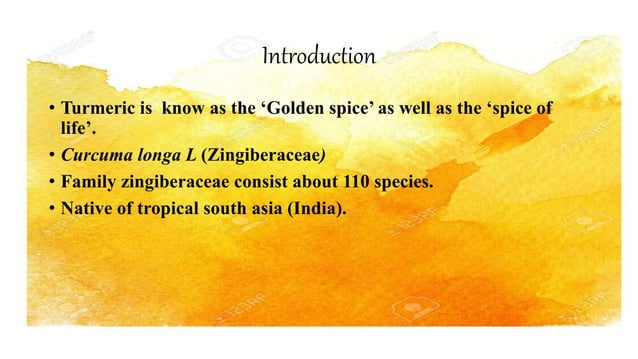 Turmeric Powder Processing | PPTX