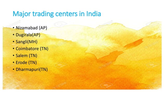 Turmeric Powder Processing | PPTX