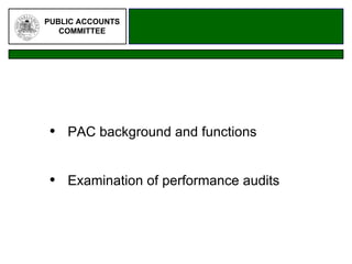 Pac Performance Audits 0908 | PPT