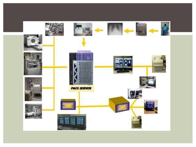 Pacs | PPTX | Operating Systems | Computer Software and Applications