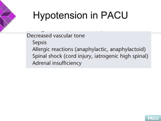 PACU Post-Anesthesia Care Unit | PPSX