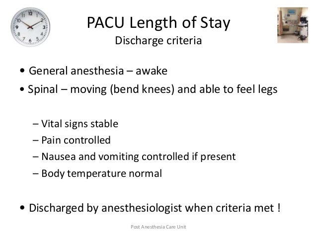 Pacu – post anesthesia care unit