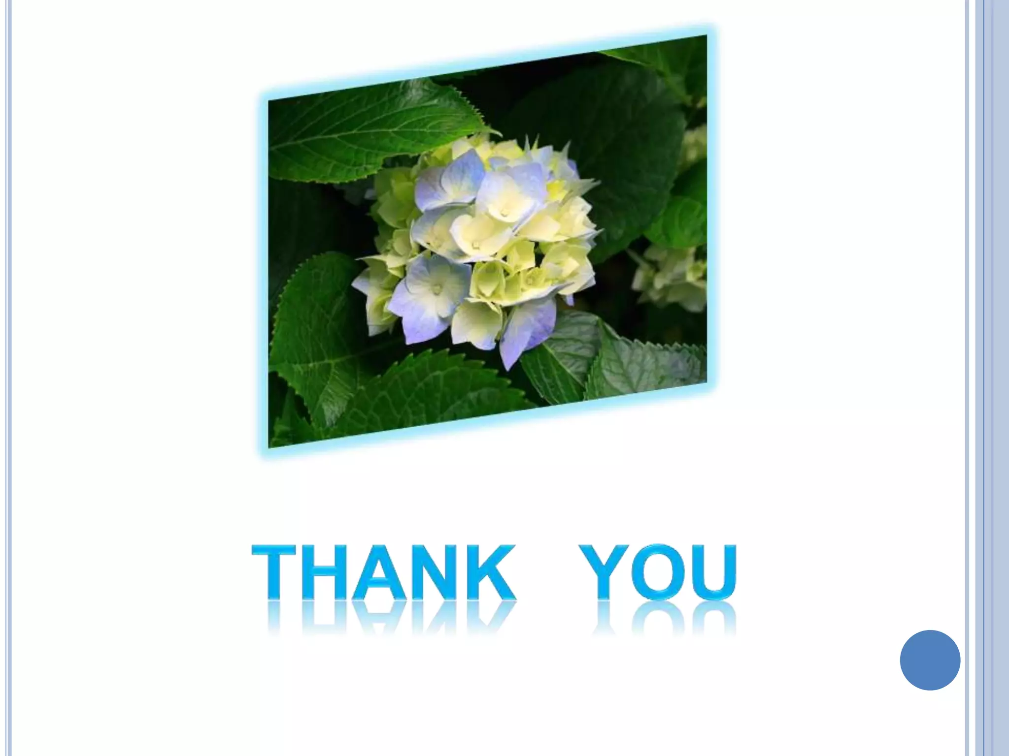 Pac vector ppt | PPTX