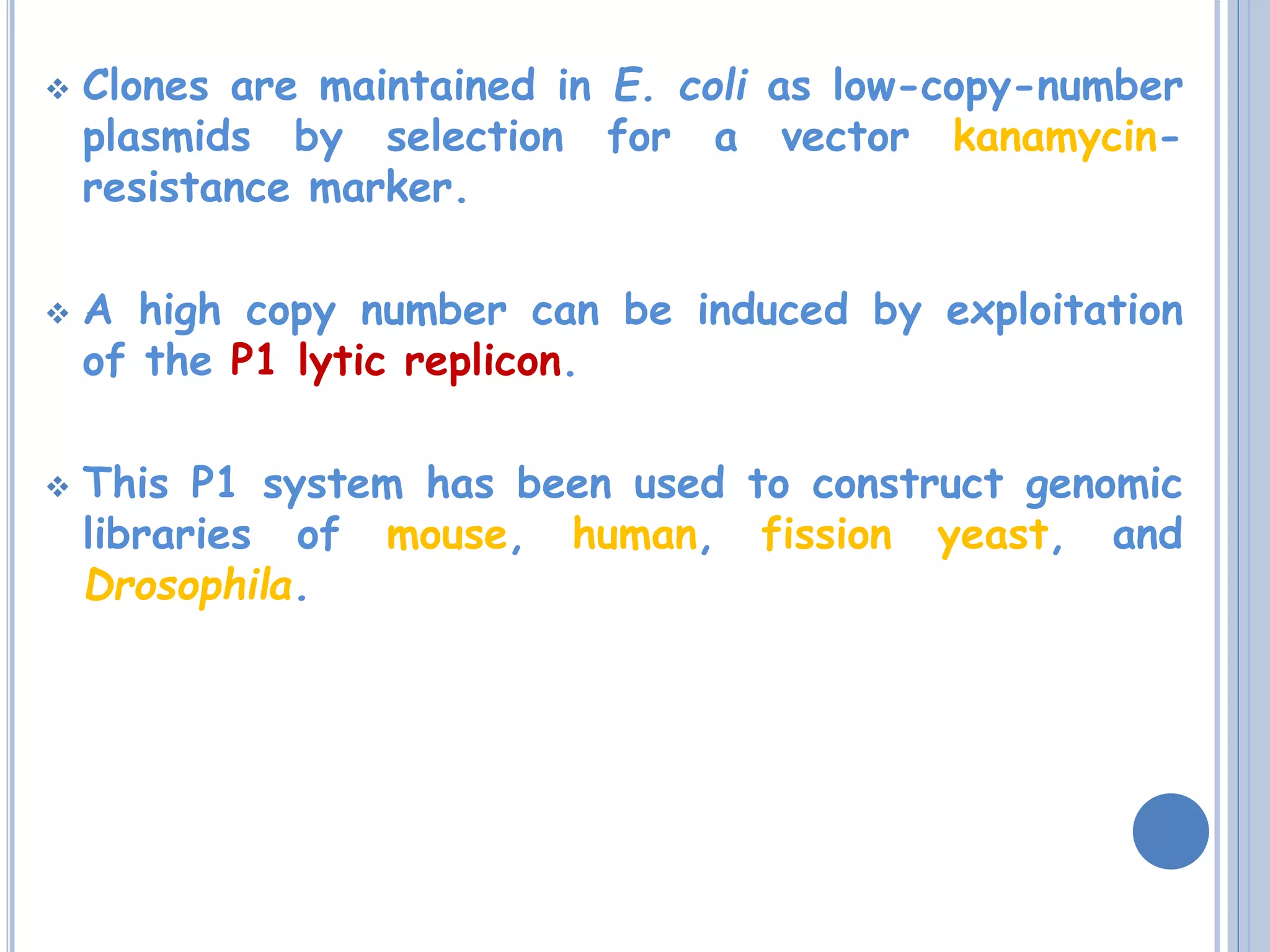 Pac vector ppt | PPTX