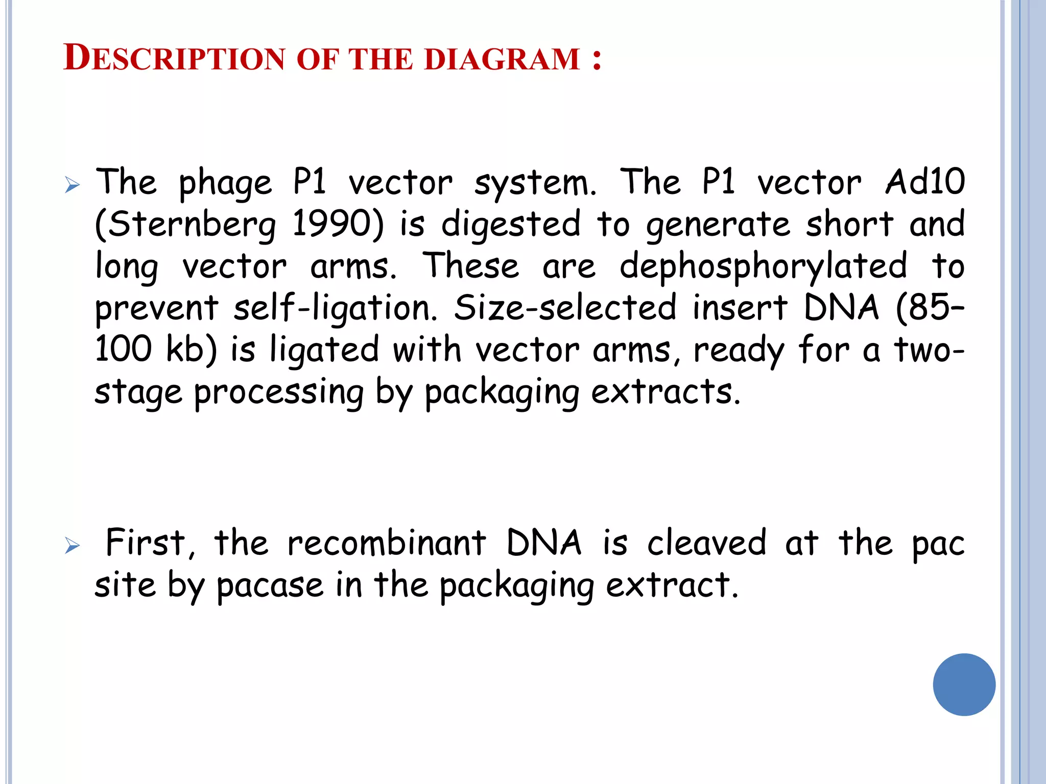 Pac vector ppt | PPTX