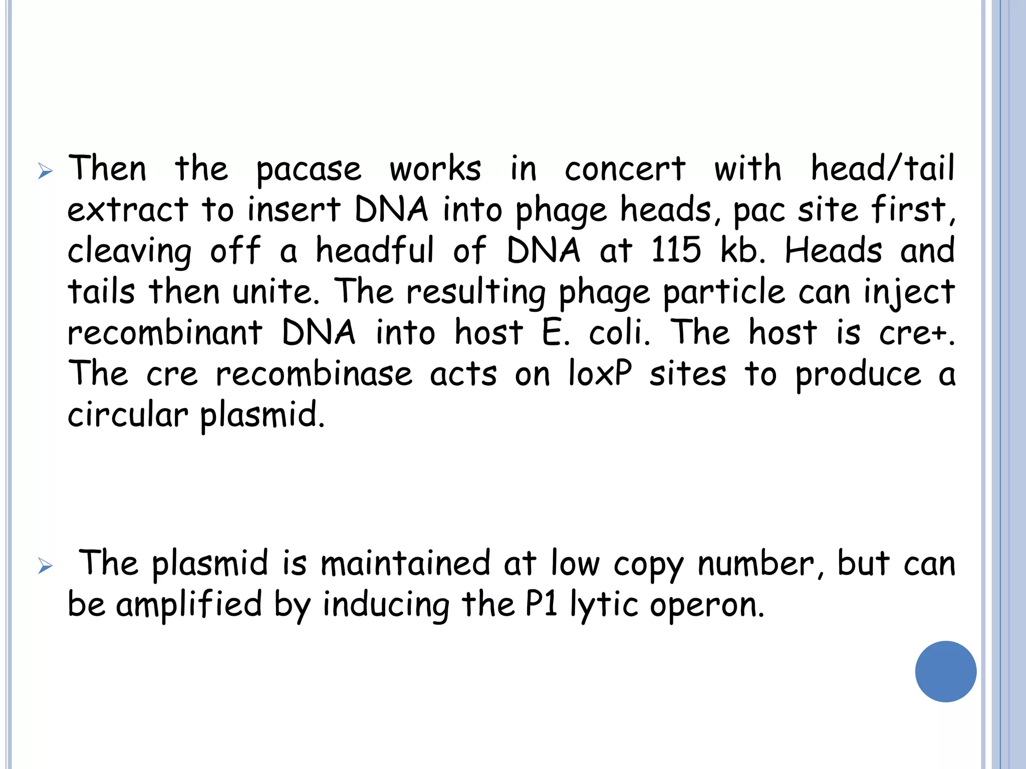 Pac vector ppt | PPTX