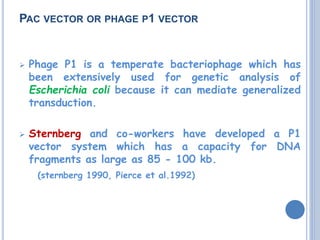 Pac vector ppt | PPTX