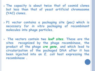 Pac vector ppt | PPTX
