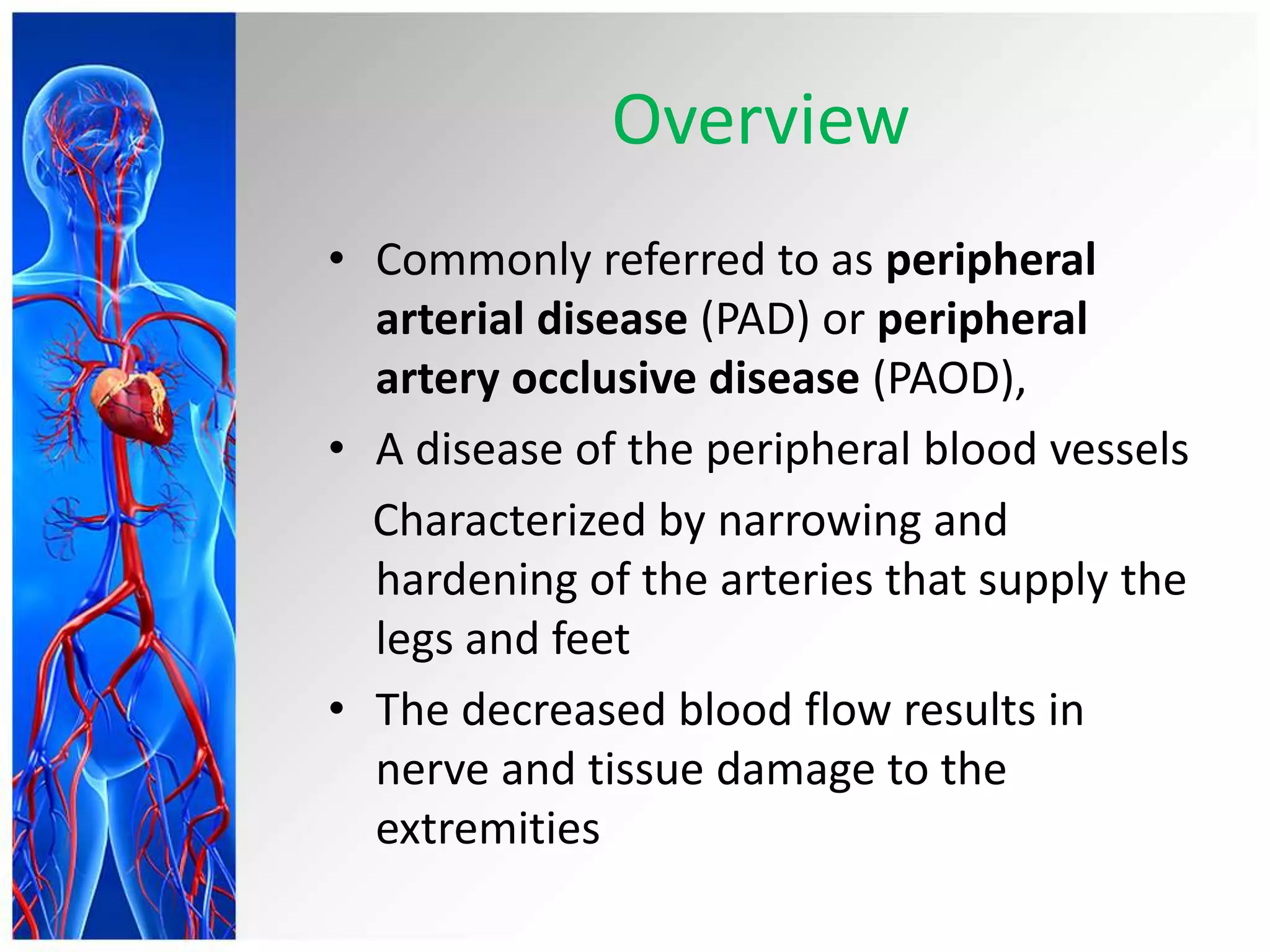 Periphral Arterial Disease | PPTX